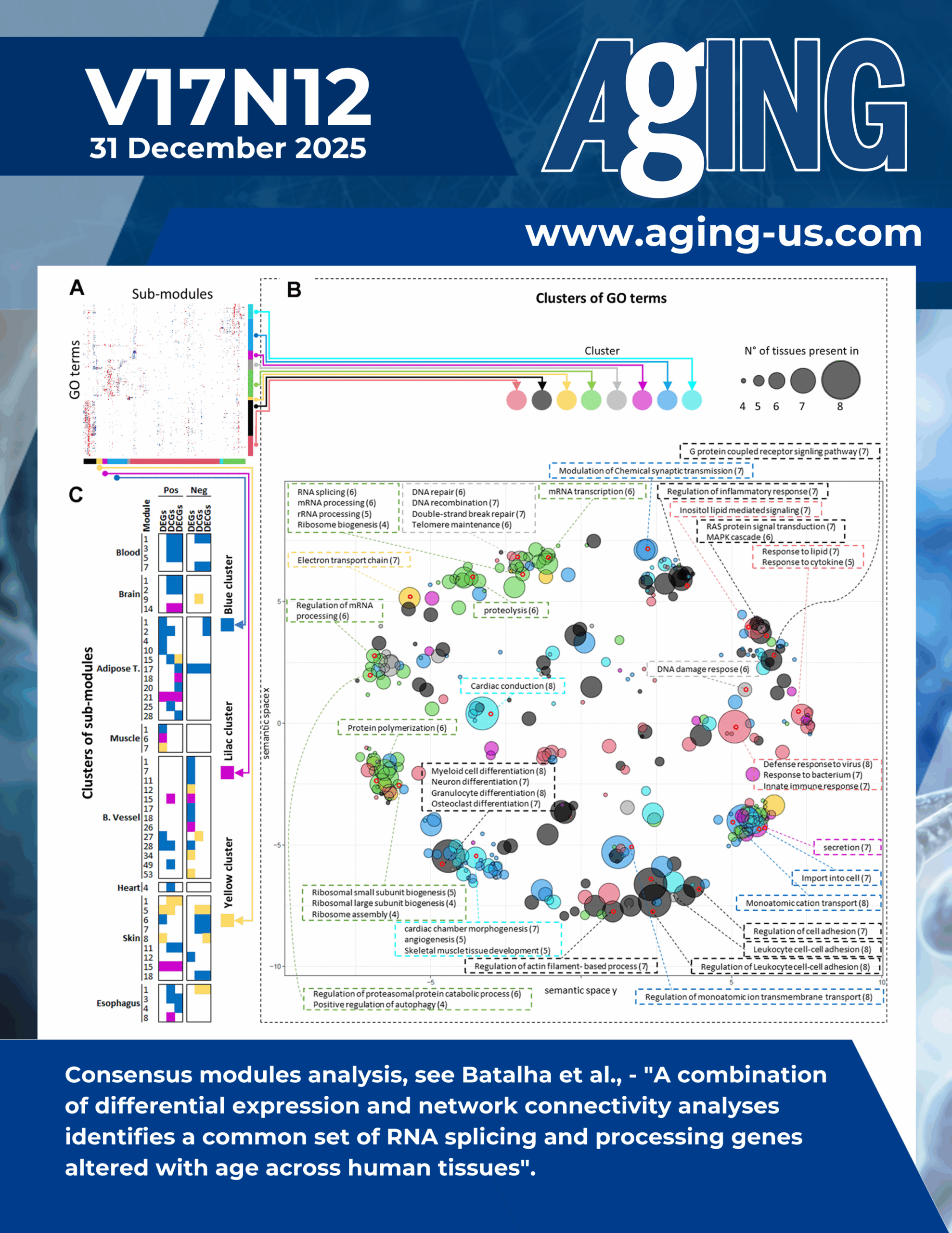 RNA Splicing and Processing Emerge as Central Features of Human Aging ...